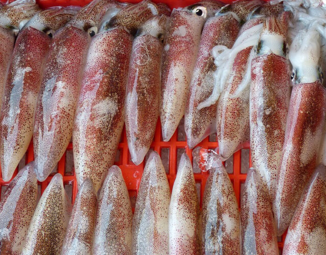 What Is Ling? Fish for One Like a Pro | BadAngling