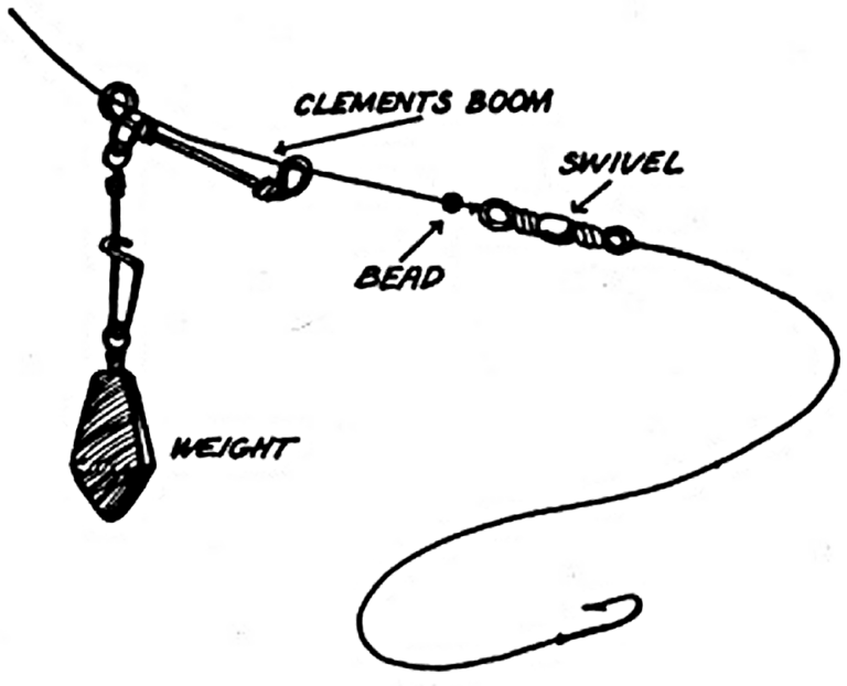 What Is Ling? Fish for One Like a Pro | BadAngling