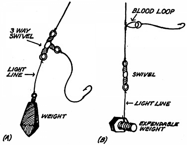 Wrasse Species and How to Catch Them | BadAngling