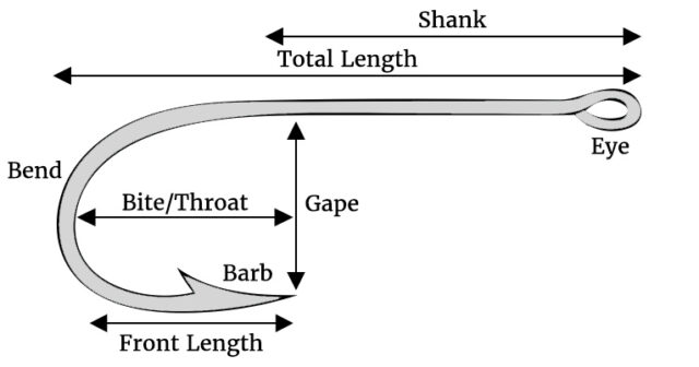 A Guide to Fishing Hook Sizes and Types