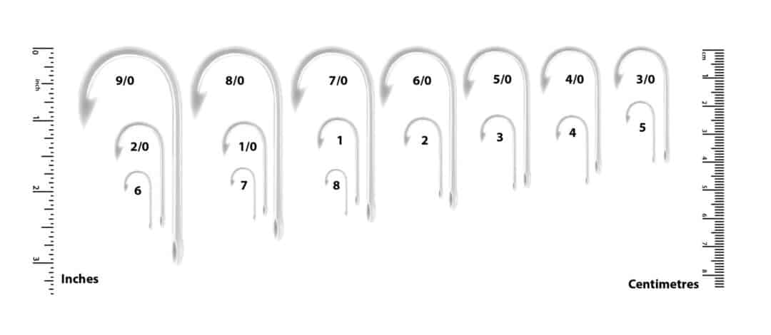 A Guide to Fishing Hook Sizes and Types