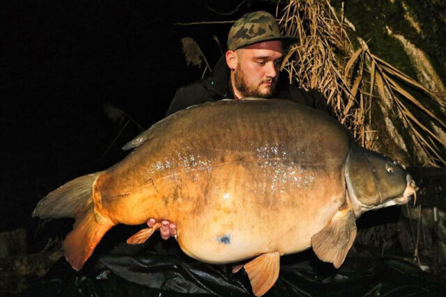 A Brief History of Carp Fishing - Why Carp? | BadAngling