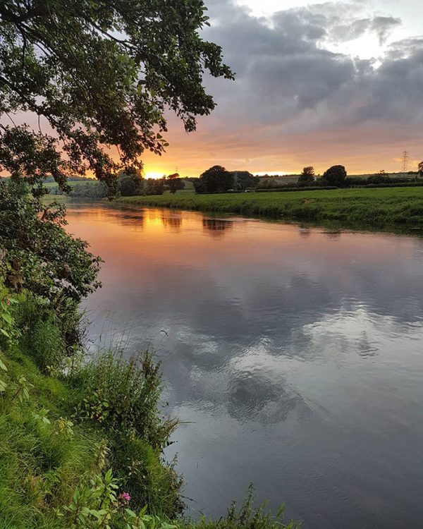 Barbel Fishing Guide - Best Barbel Baits & More | BadAngling