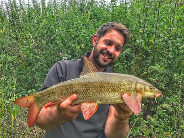 Barbel Fishing Guide - Best Barbel Baits & More | BadAngling