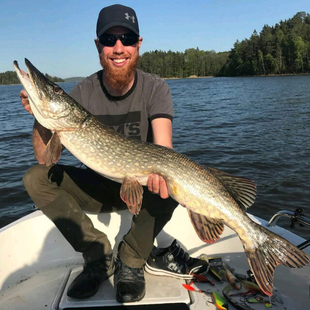 A Basic Guide to Catching Pike - Baits & Much More | BadAngling
