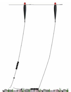 Perch Fishing Guide - Best Bait for Perch & More | BadAngling