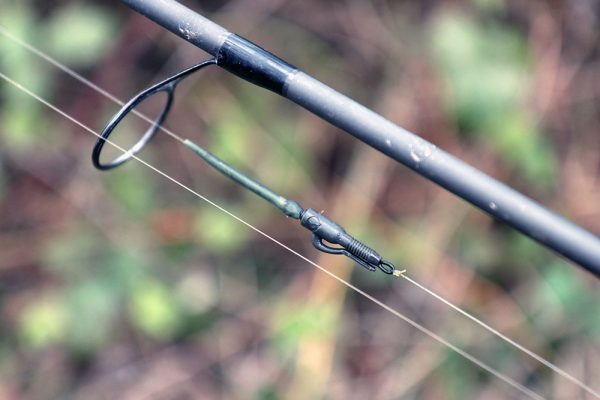 Spring Fishing: The Best Carp Fishing Setups | BadAngling
