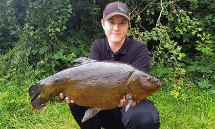 Big Tench Fishing: The Tale of a Tench of a Lifetime | BadAngling