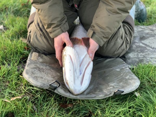 How to Handle Pike: Unhooking & Holding Pike | BadAngling