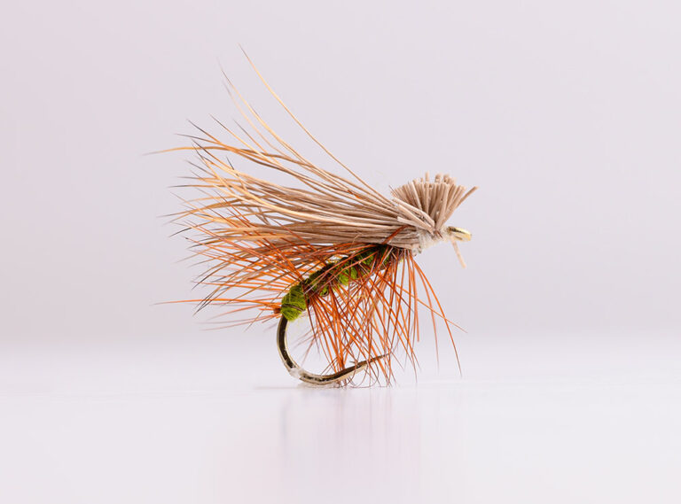 The Best 11 Trout Flies You Need to Know About | BadAngling