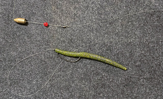 A Pro's Guide to Rigging a Plastic Worm for Bass Fishing