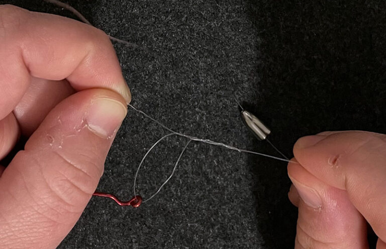 Hook, Line, and Sinker: How to Rig a Lizard for Bass Fishing