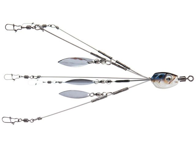 Mastering the Umbrella Rig for Bass Success | BadAngling