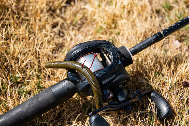 A Pro's Guide: How to Fish a Wacky Rig for Bass: | BadAngling