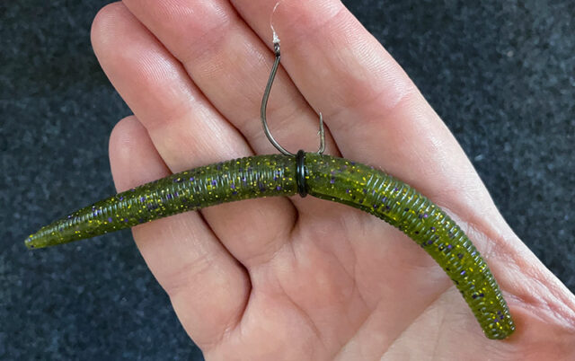 A Pro's Guide: How to Fish a Wacky Rig for Bass: | BadAngling