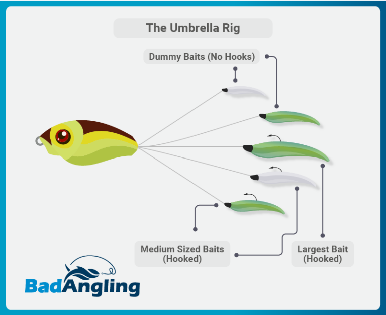 Mastering the Umbrella Rig for Bass Success | BadAngling