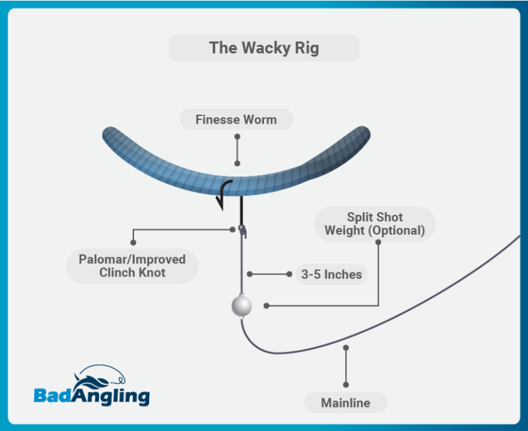 A Pro's Guide: How to Fish a Wacky Rig for Bass: | BadAngling