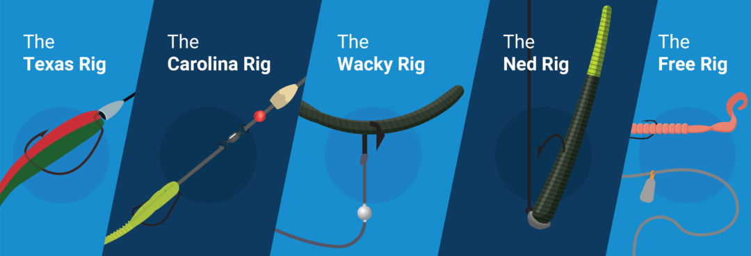 Rig It Right: An Expert Guide to the Best Bass Fishing Rigs