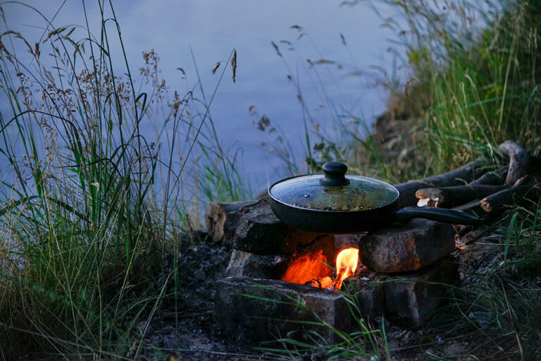 American Bass Fish Species Guide - Types of Bass Fish