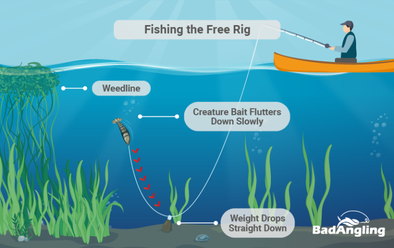 Conquer the Free Rig: Bass Fishing Guide | BadAngling