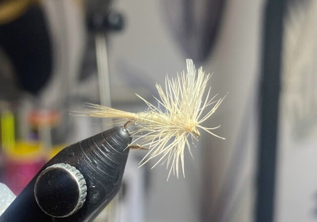 The Best 11 Trout Flies You Need to Know About | BadAngling