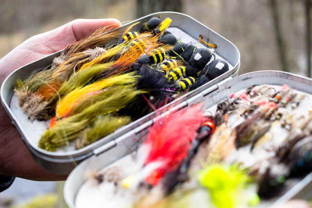 Trout Fly Types: Everything You Need to Know | BadAngling