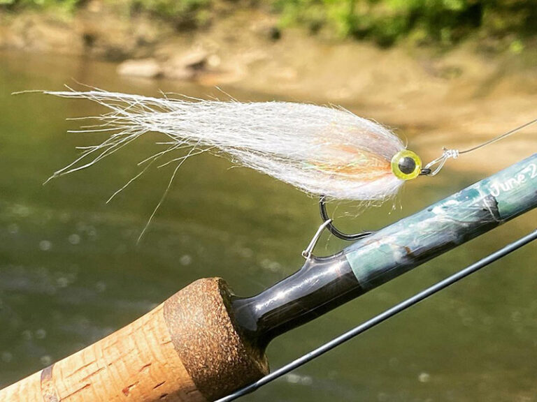 Redeye Bass - Fish Species Guide | BadAngling