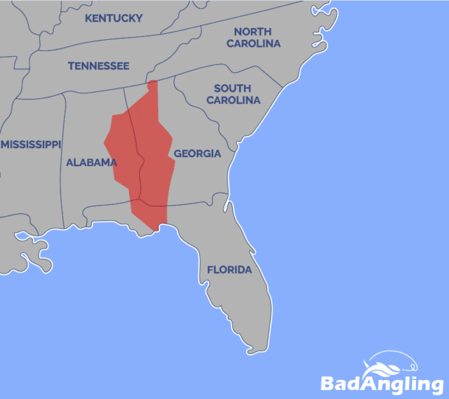 Shoal Bass - Fish Species Guide | BadAngling