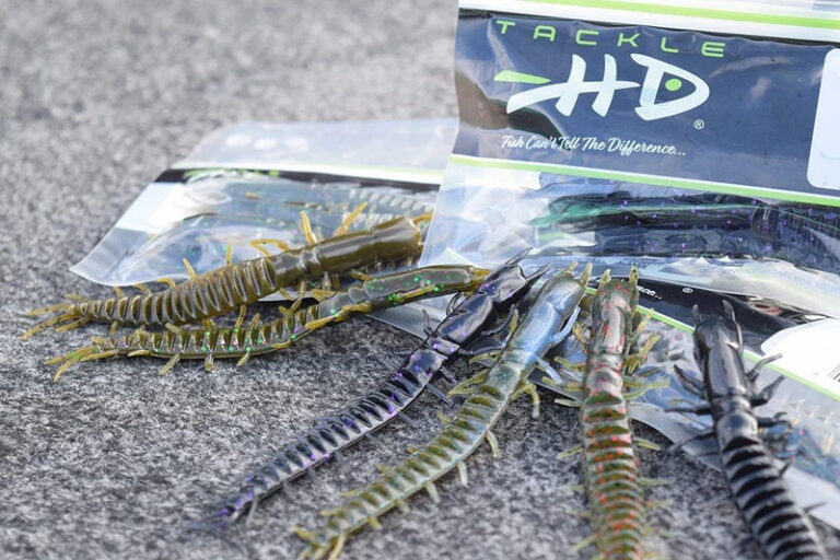 Shoal Bass - Fish Species Guide | BadAngling