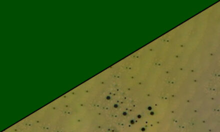 The Complete Bass Fishing Lure Color Selection Guide