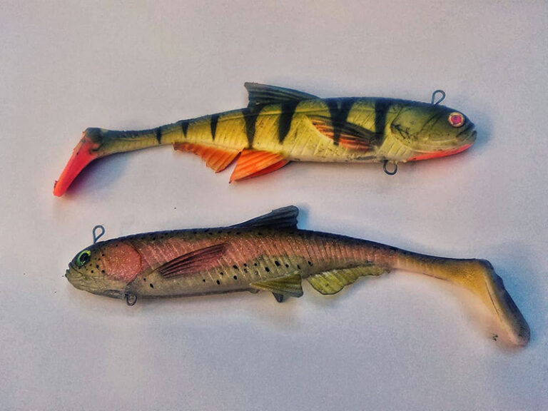 Spotted Sand Bass - Fish Species Guide | BadAngling