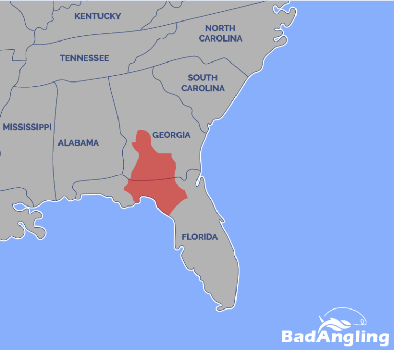 Suwannee Bass - Fish Species Guide | BadAngling