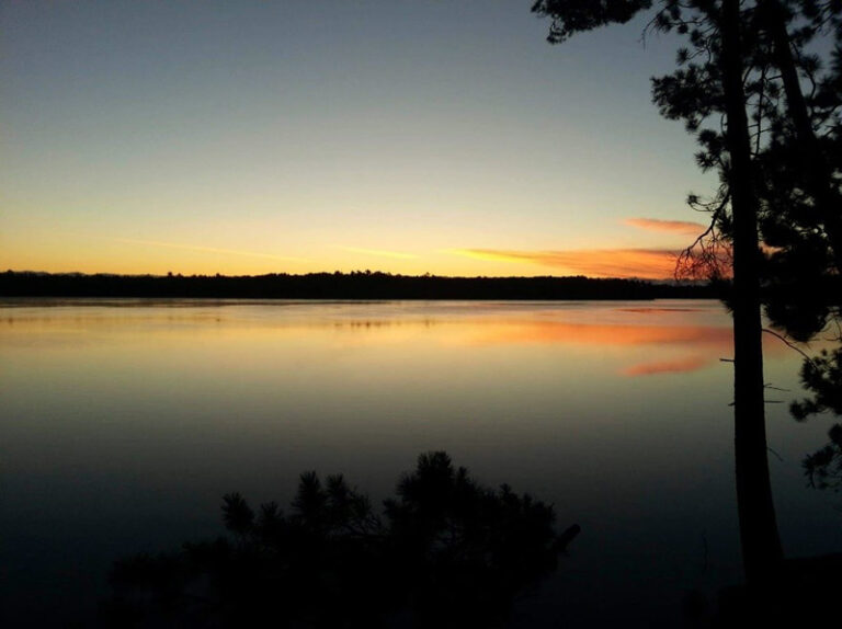 Suwannee Bass - Fish Species Guide | BadAngling