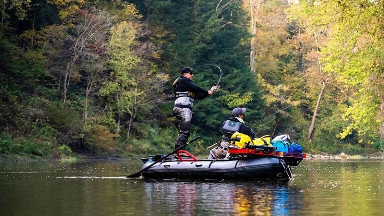 Suwannee Bass - Fish Species Guide | BadAngling